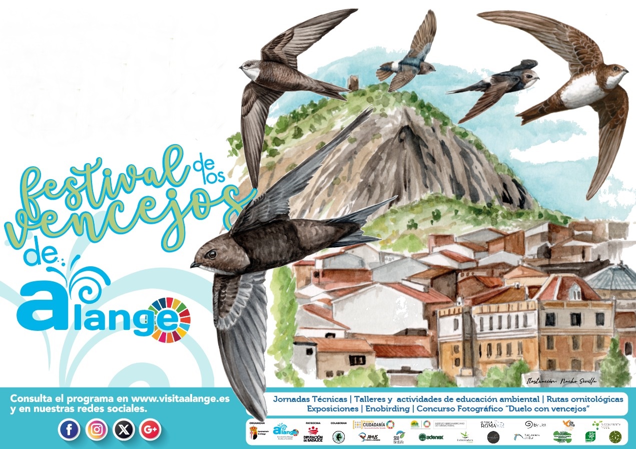 Festival de los Vencejos | Visita Alange